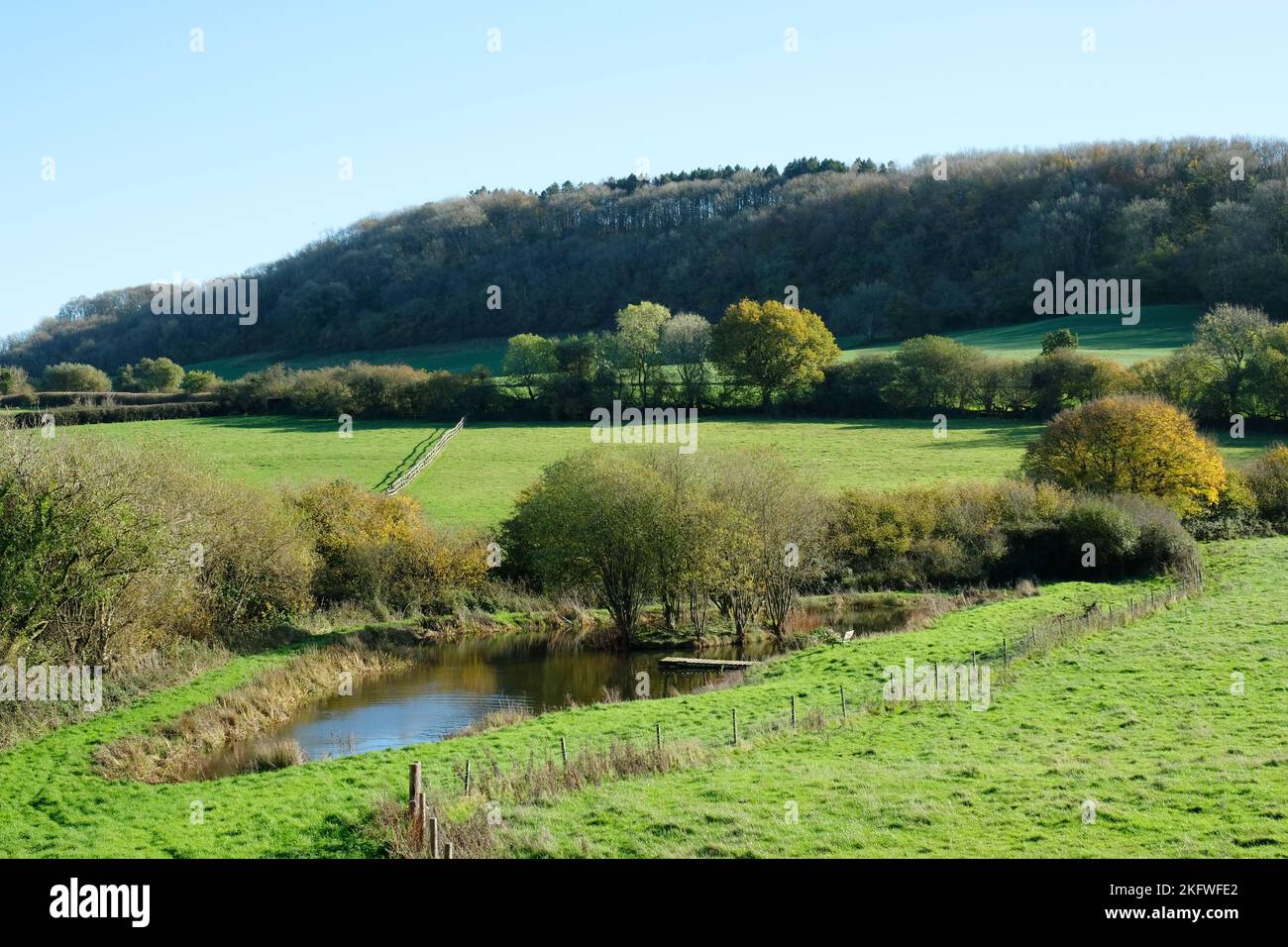 Small pond in the Dorset countryside - John Gollop Stock Photo - Alamy