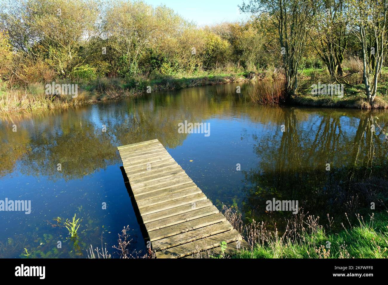 Small pond in the Dorset countryside - John Gollop Stock Photo - Alamy