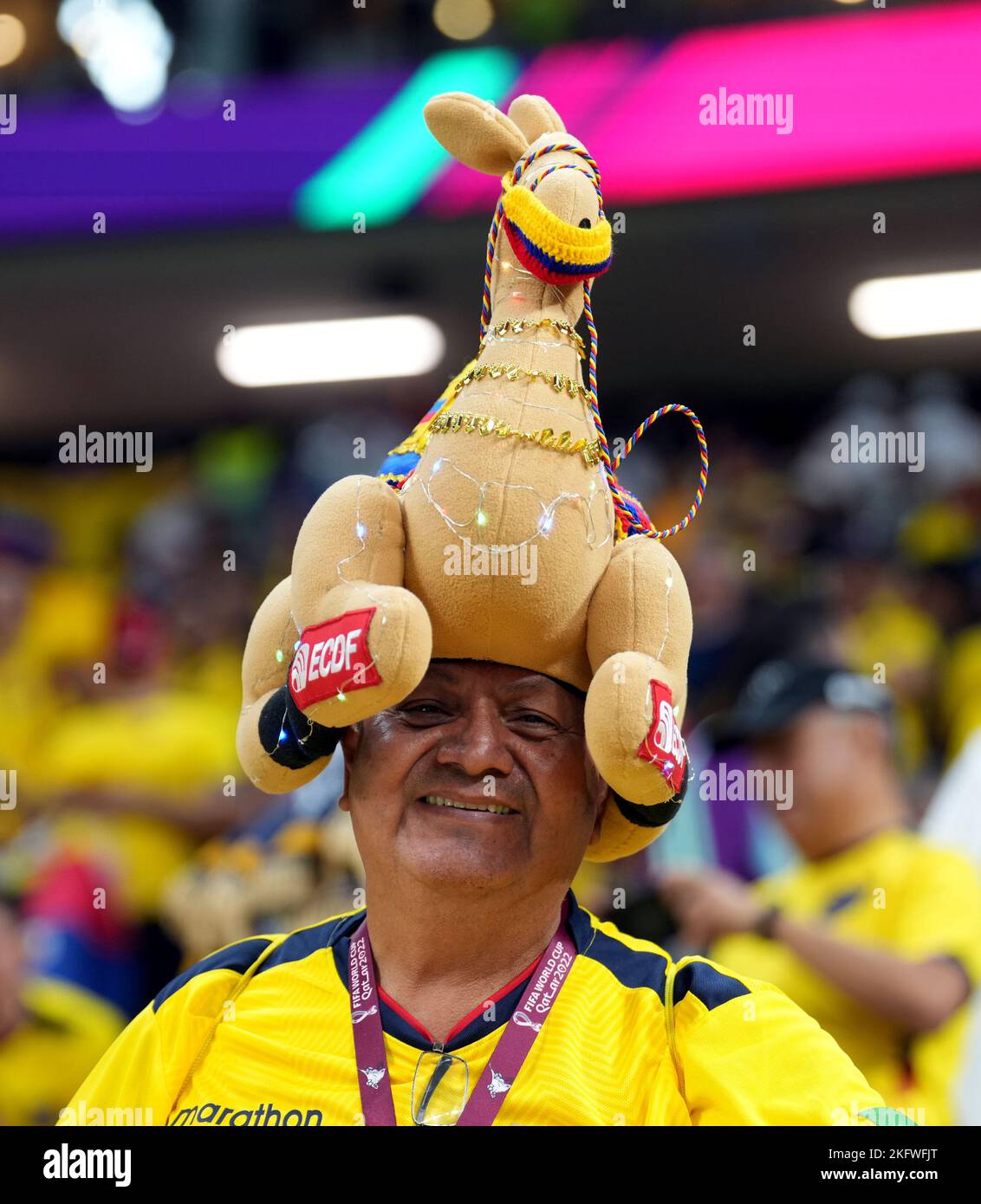 An Ecuador fan ahead of the FIFA World Cup Group A match at the Al Bayt ...