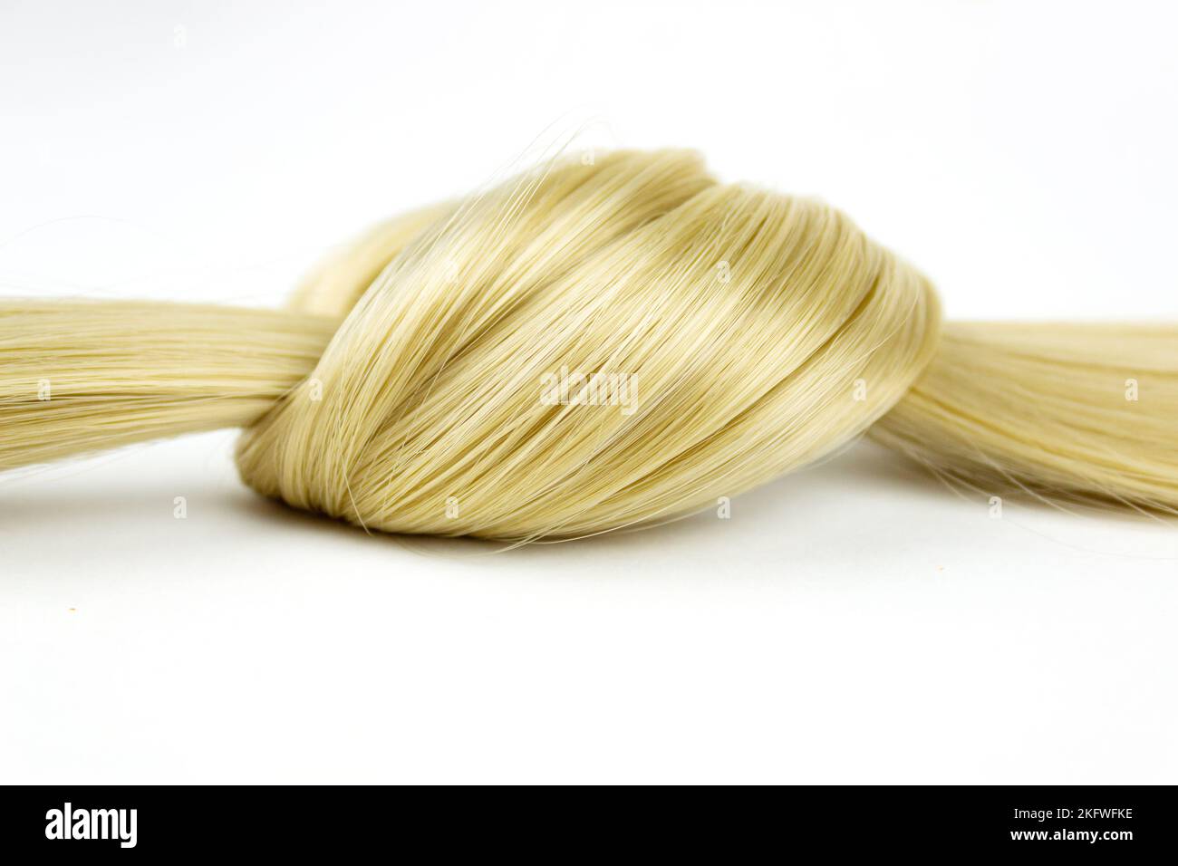 Blond wavy hair lock tied in knot on white background. Piece of blonde ...