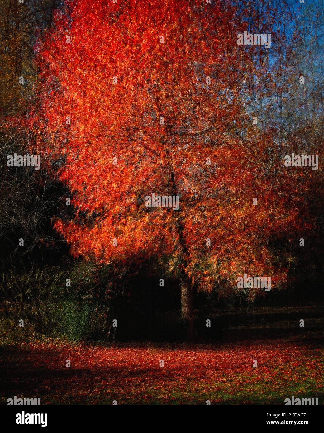 Digital art tree leaves hi-res stock photography and images - Alamy