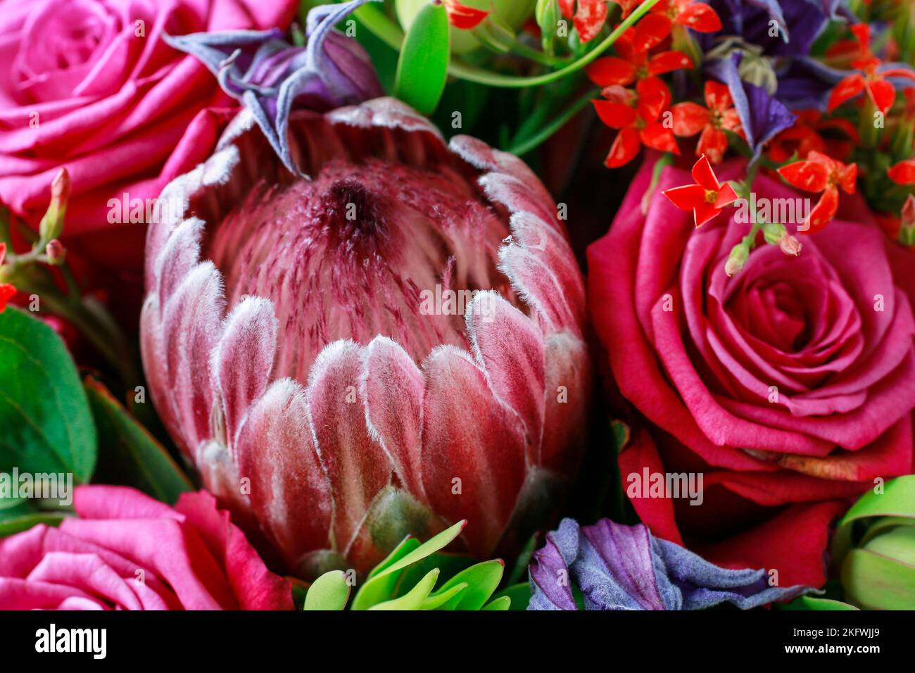 Rose and protea flowers in wedding bouquet. Party decor Stock Photo - Alamy