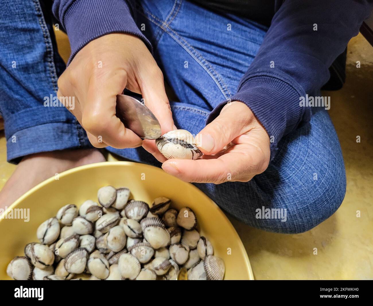 hands de-shelling boiled cockles for food Stock Photo - Alamy