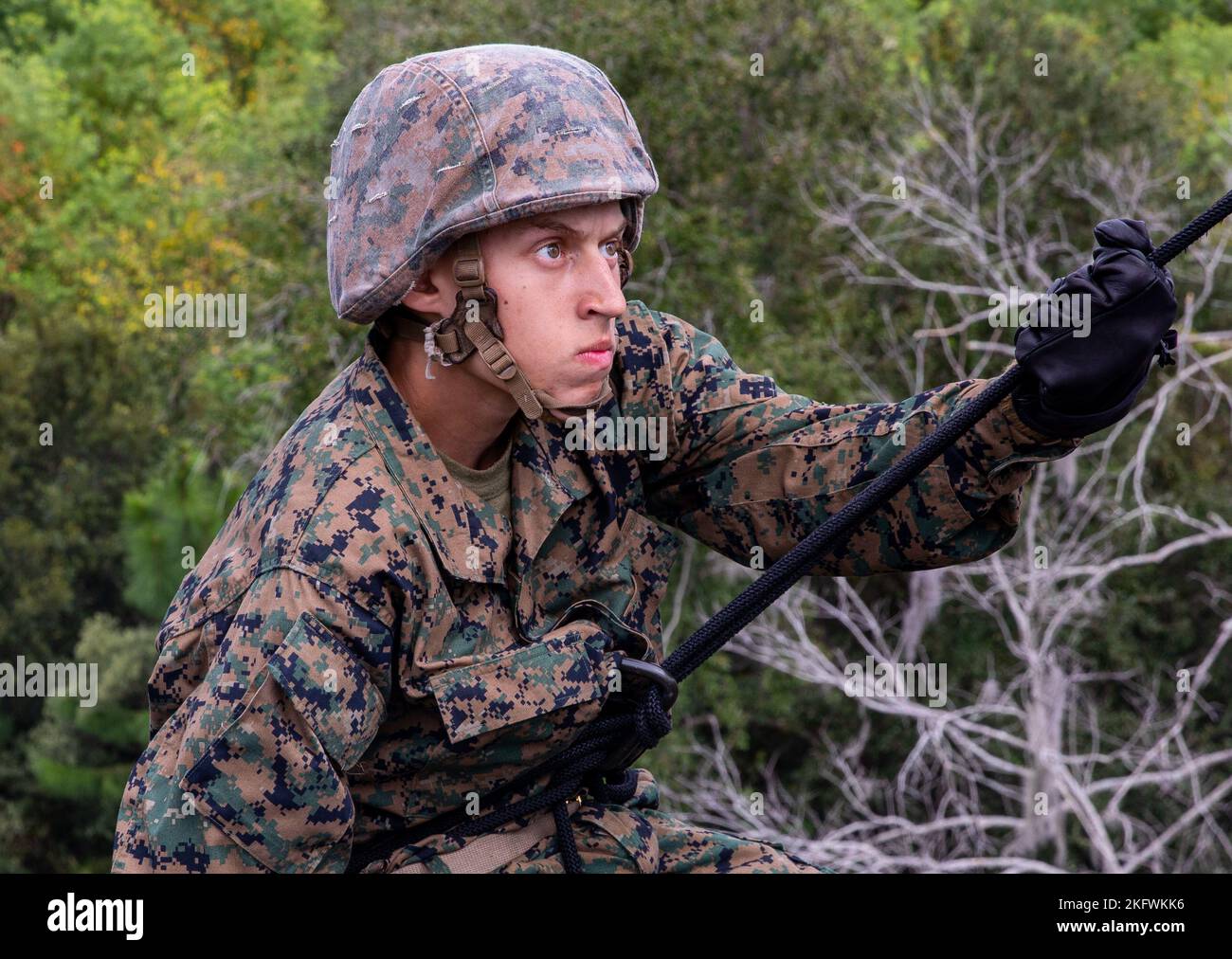 Recruits with Mike Company, 3rd Recruit Training Battalion, go down the ...