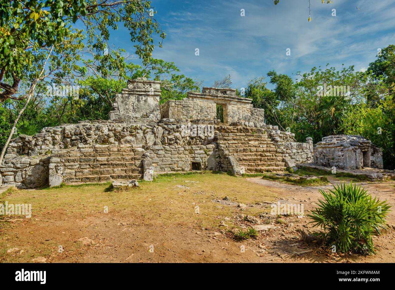 Mayan ruins in shadow of trees in jungle tropical forest Playa del ...