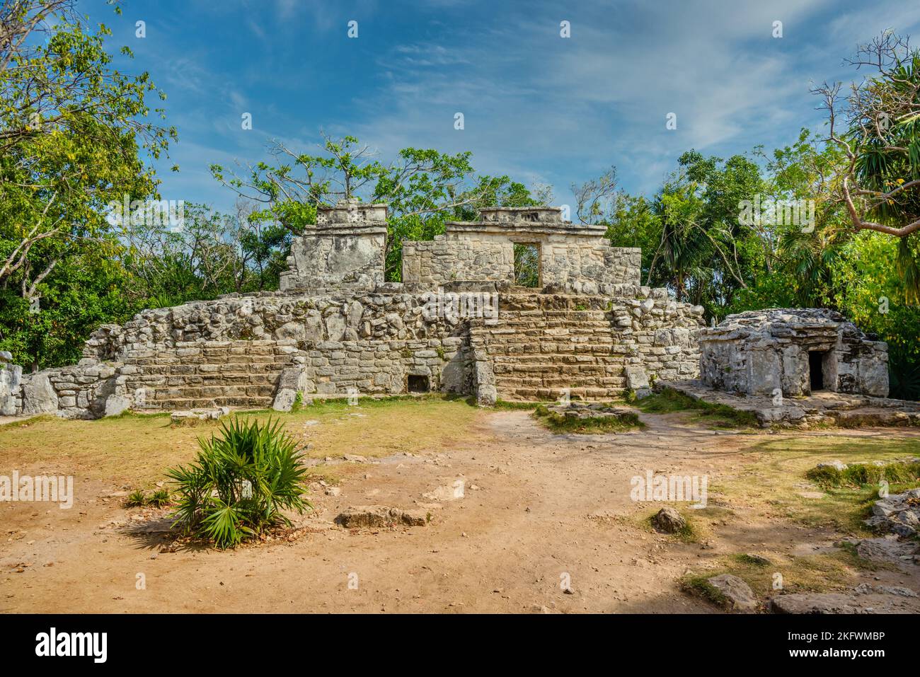 Mayan ruins in shadow of trees in jungle tropical forest Playa del ...
