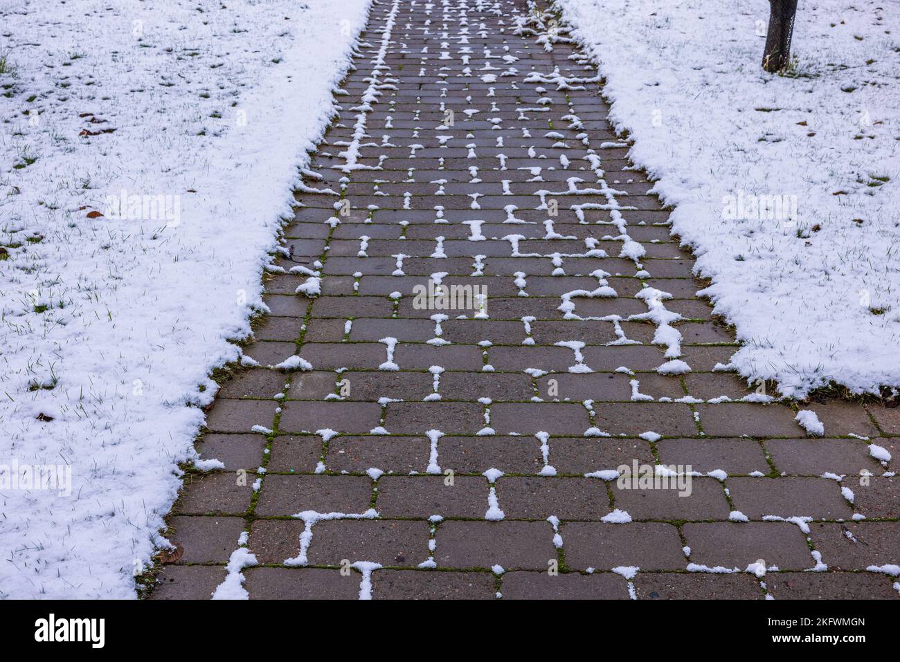 View of paving slab path in garden at beginning of winter leading to ...