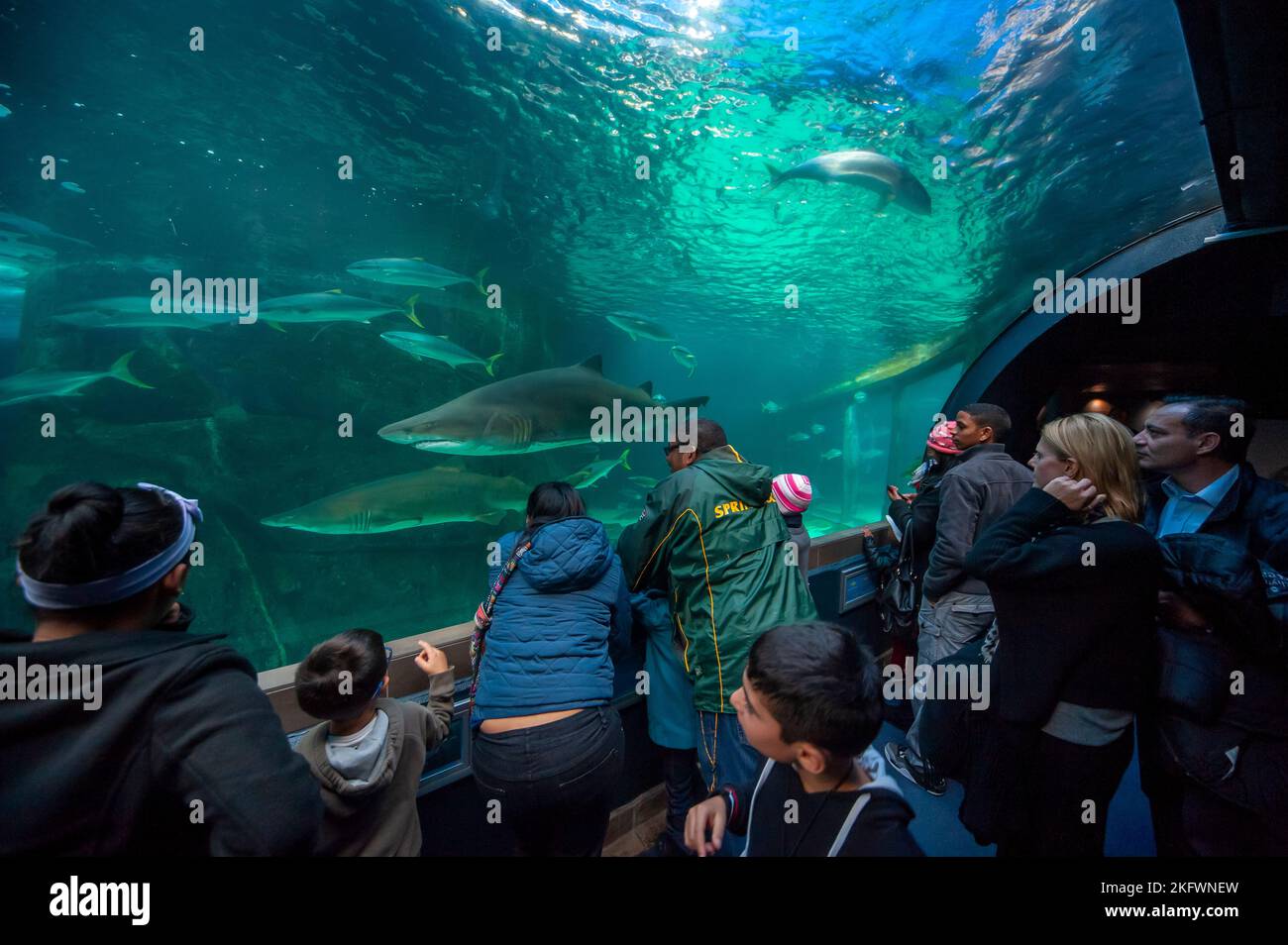 Tourists visiting the iconic Two Oceans Aquarium, a popular destination ...