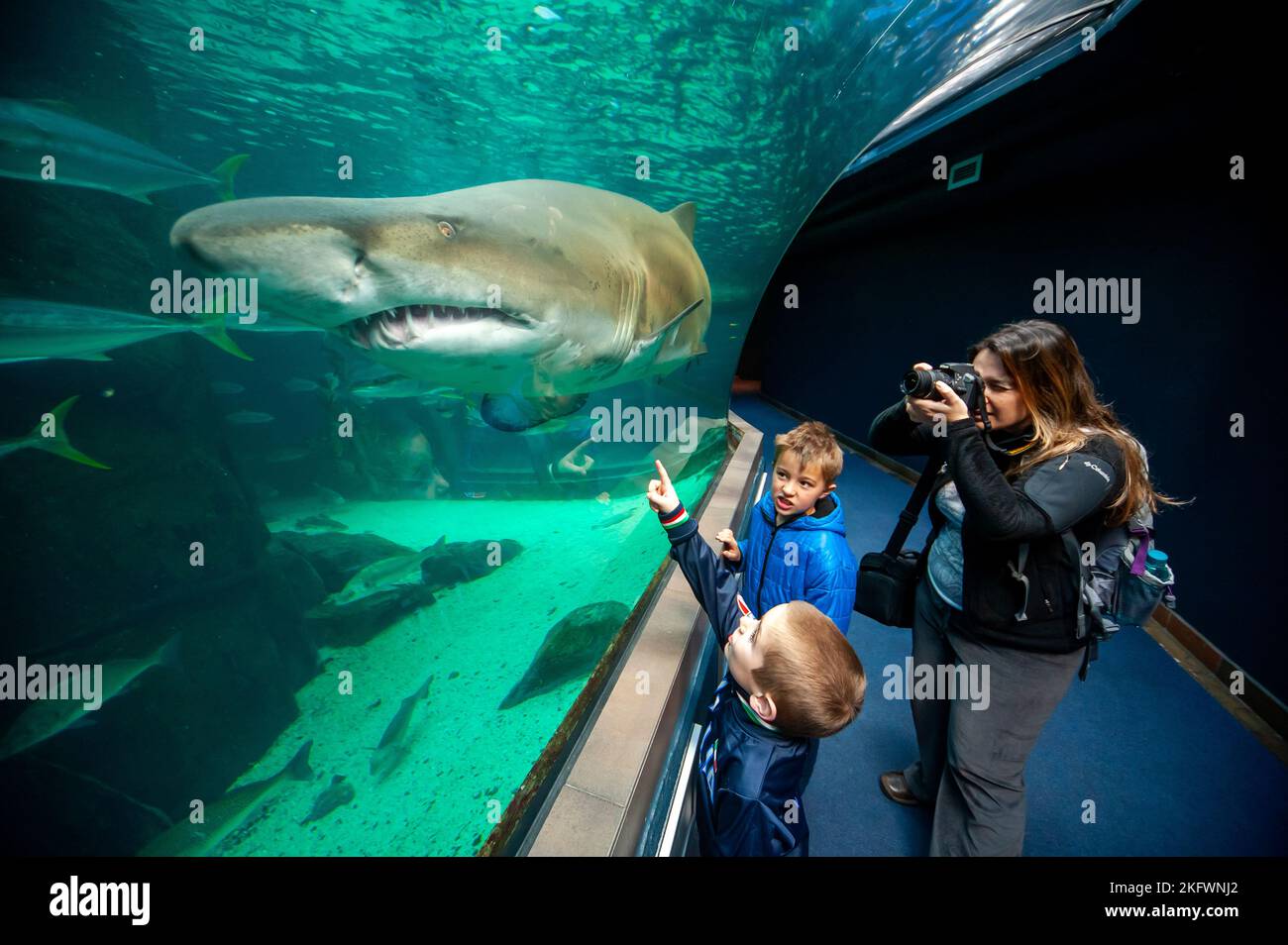 Tourists visiting the iconic Two Oceans Aquarium, a popular destination ...