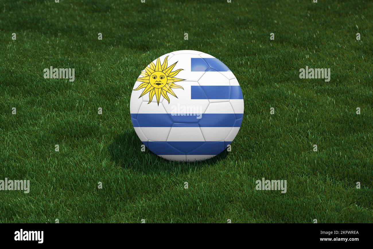 Soccer ball with Uruguay flag colors at a stadium on green grasses ...
