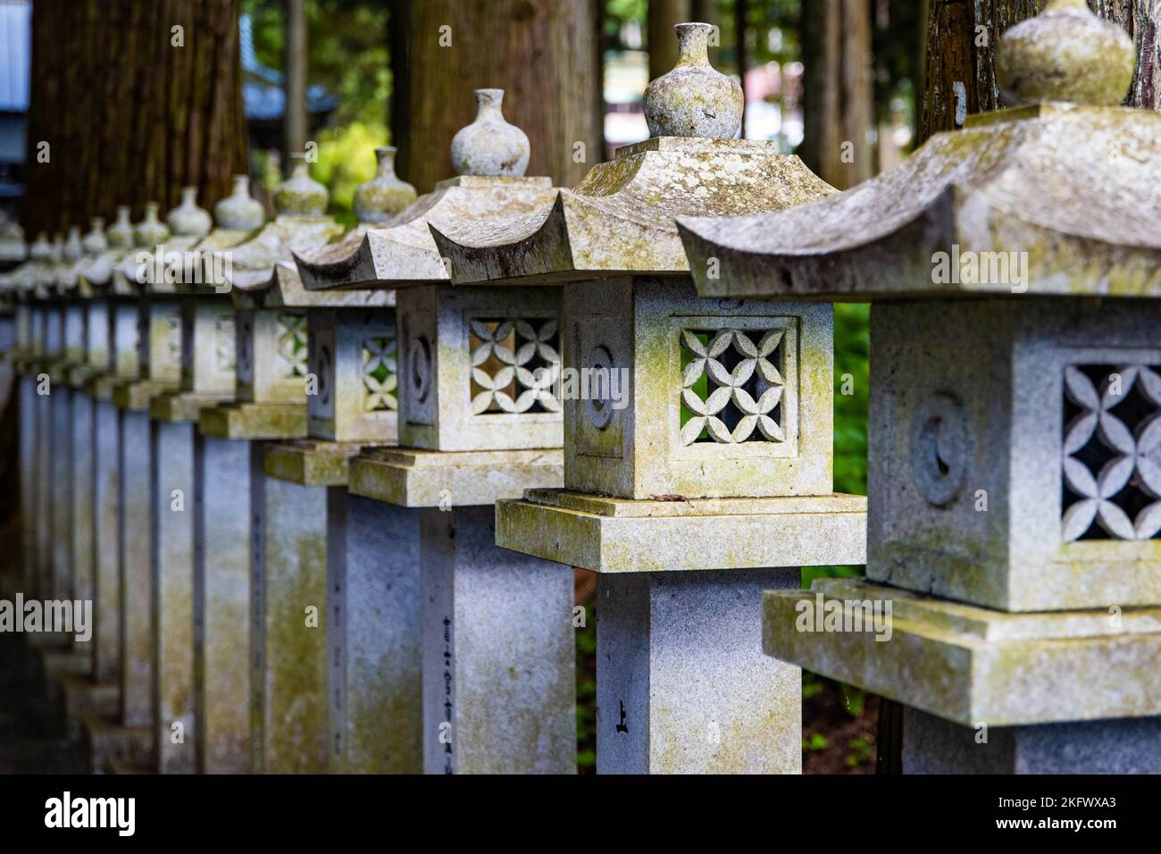 Japanese stone toro lanterns at shrine entrance in the forest Stock ...