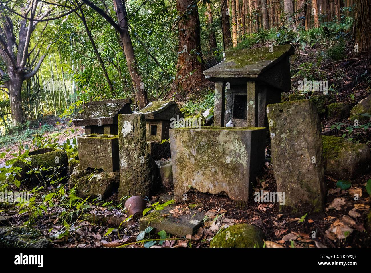 Old place in woods hi-res stock photography and images - Alamy