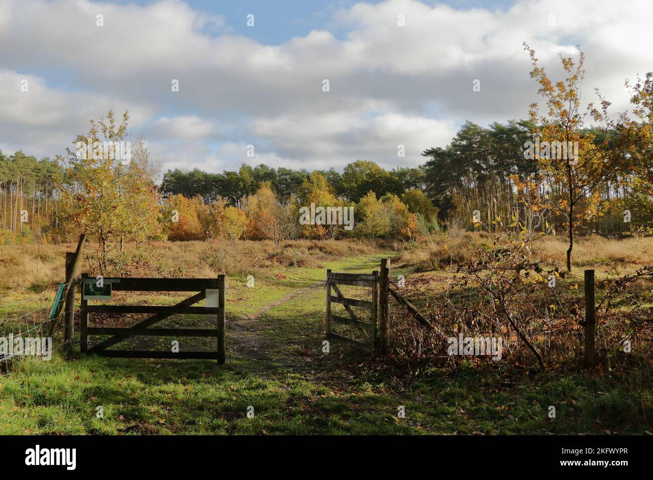 Wooden gate on a nature reserve hi-res stock photography and images - Alamy