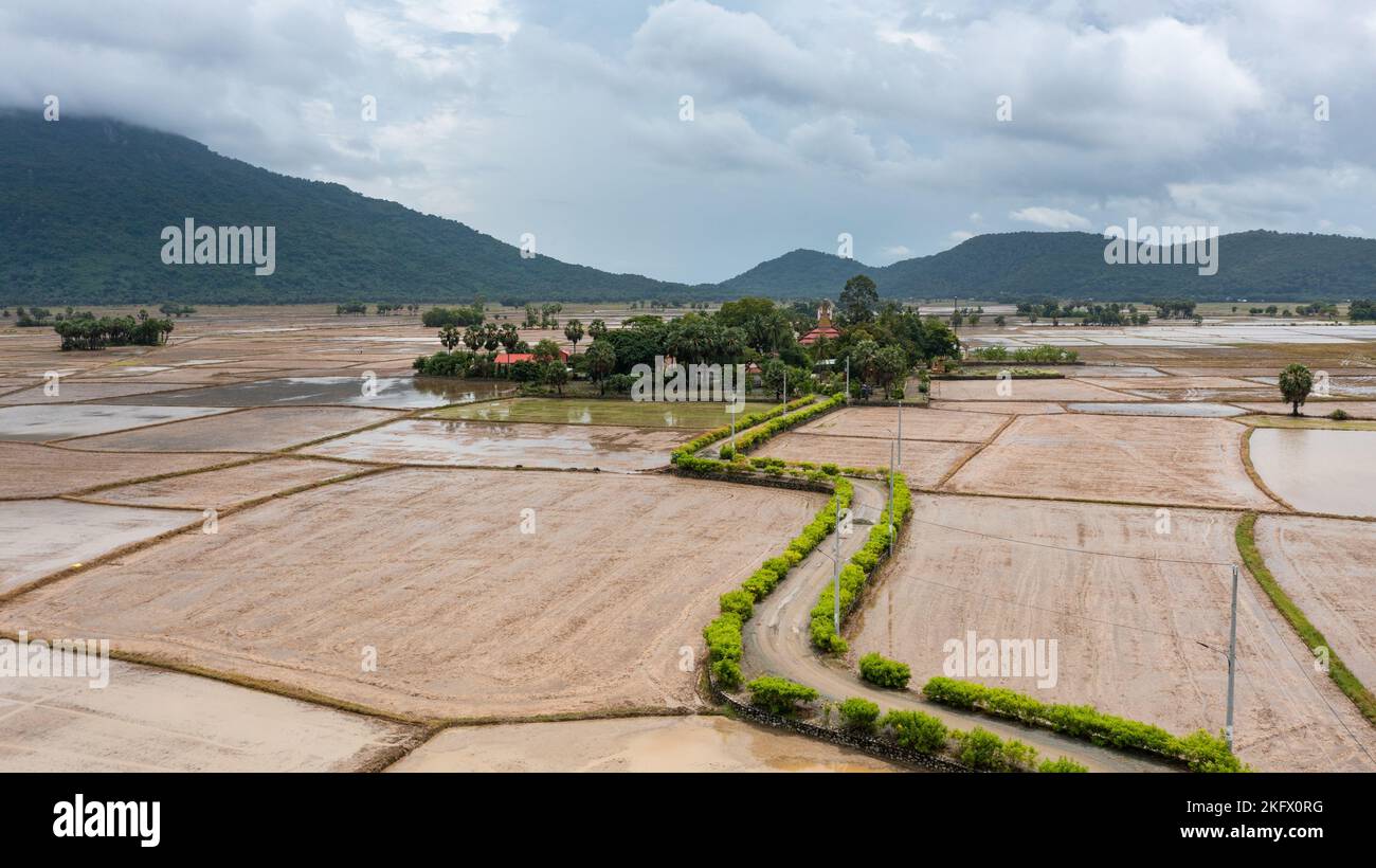 Khmer pagoda between rice fields in An Giang from aerial view Stock ...
