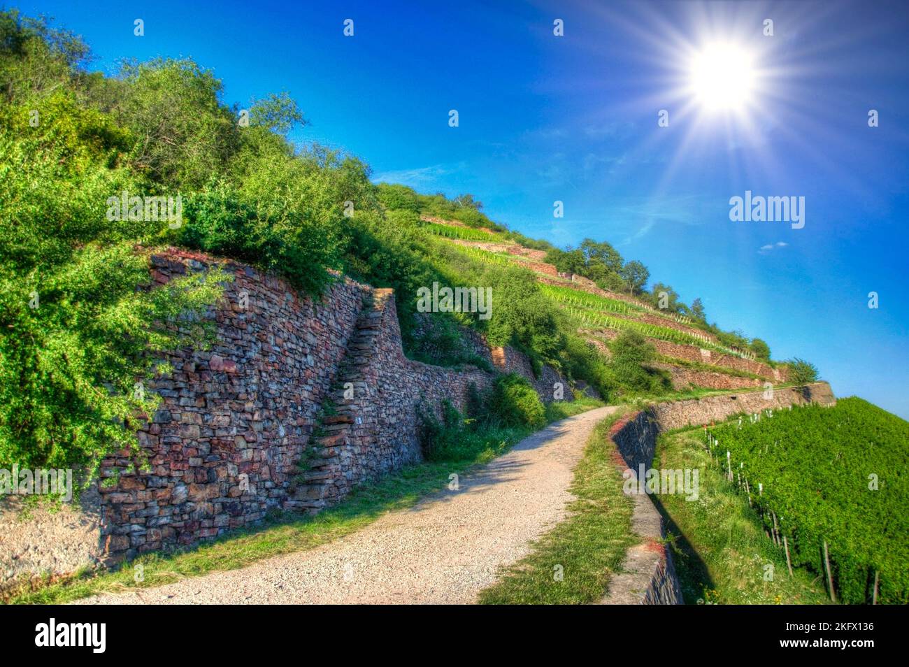 Road near Burg Ehrenfels, Ruedesheim in Hessen, Germany Stock Photo - Alamy