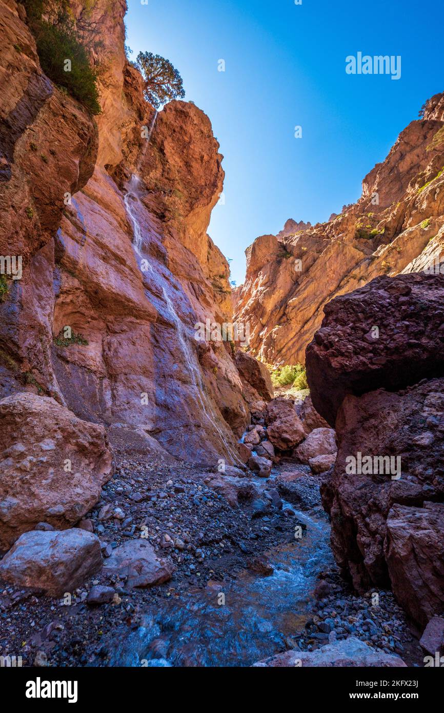 Narrow gorge in the M'Goun massif of the Moroccan Atlas mountains Stock ...