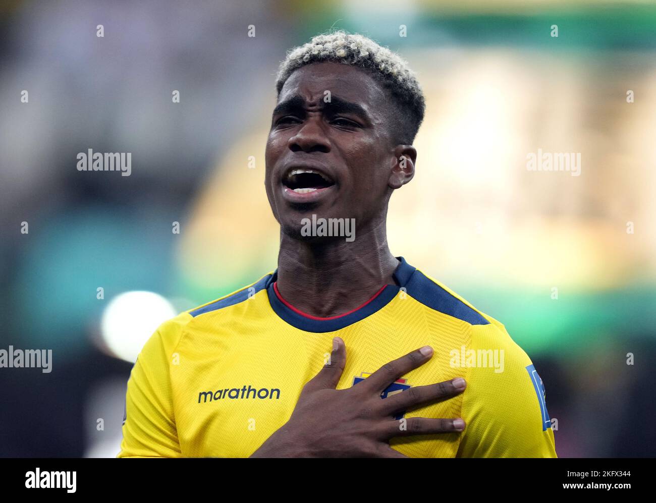 Ecuador's Felix Torres during the FIFA World Cup Group A match at the ...