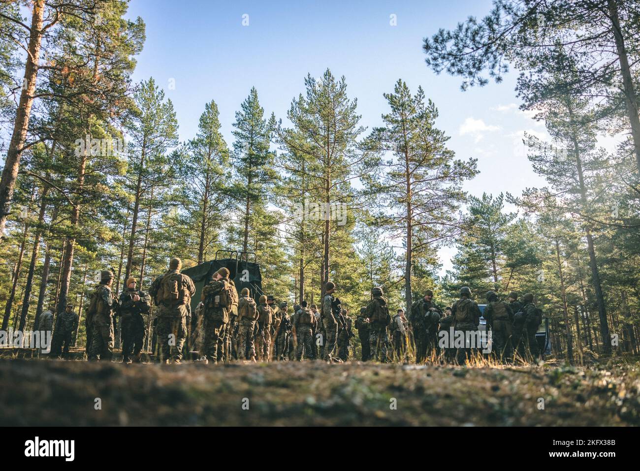 U.S. Marines with Combat Logistics Battalion 6 (CLB-6), Combat ...