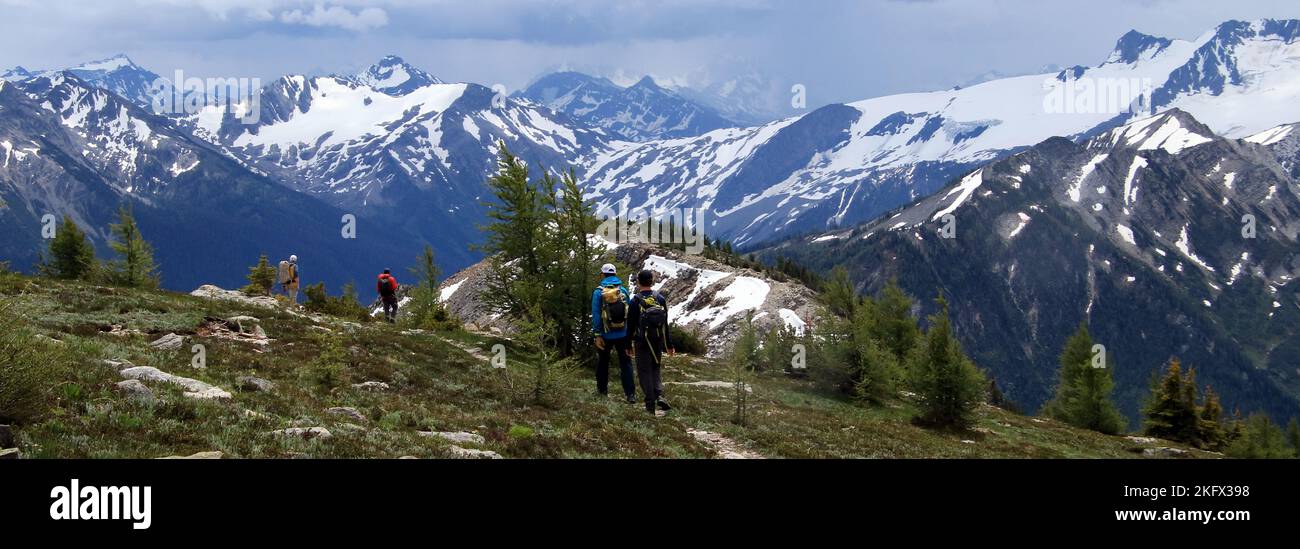 Heli Hiking in Bugaboo Provincial Park Stock Photo - Alamy