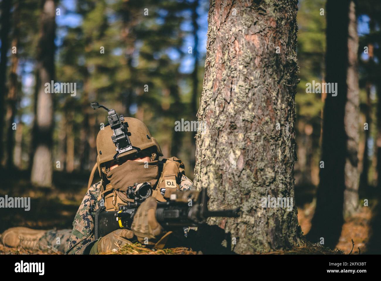 U.S. Marine Corps Cpl. Nicolle Llein Bartels, a network administrator ...
