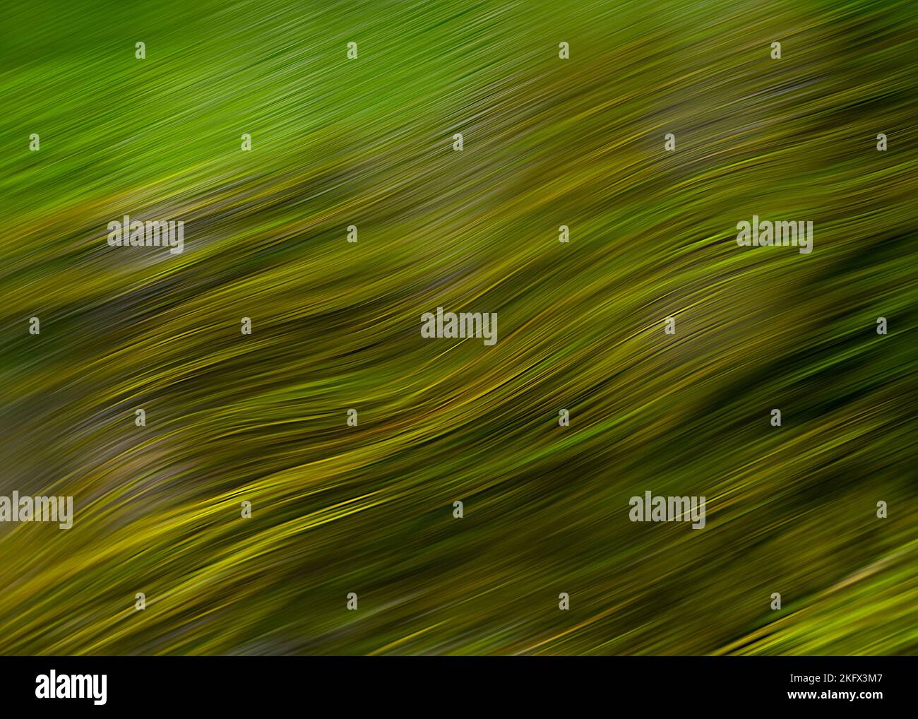 Abstract green background, motion blur effect, reeds flowing in river ...