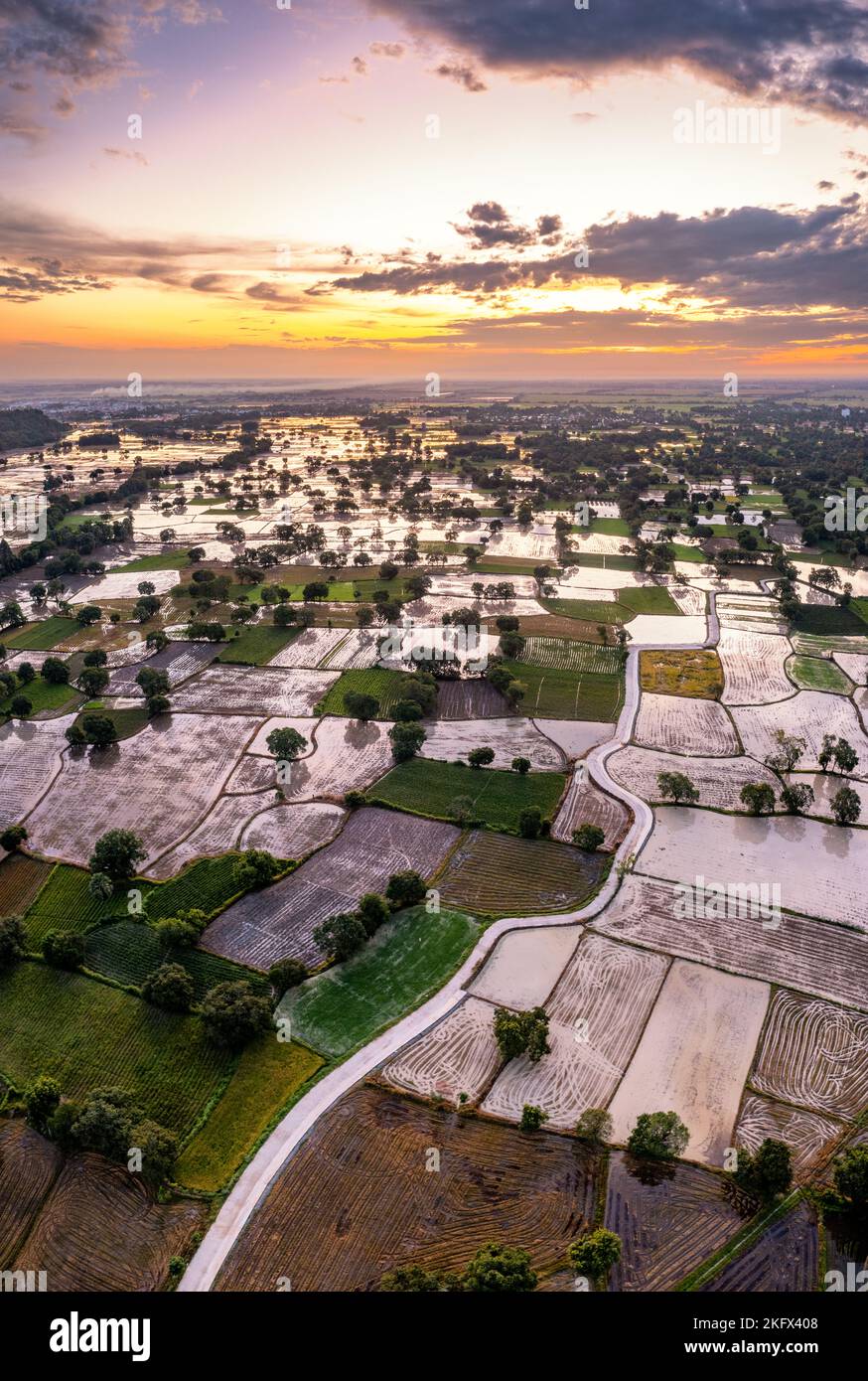Ta Pa rice fields are beautiful in the morning, interspersed with ...
