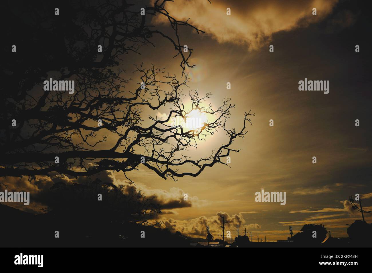 A mesmerizing scenery of a golden sunset over Trinidad and Tobago from ...