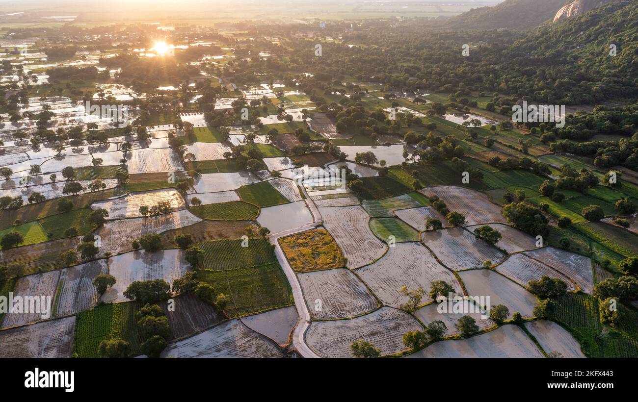 Ta Pa rice fields are beautiful in the morning, interspersed with ...