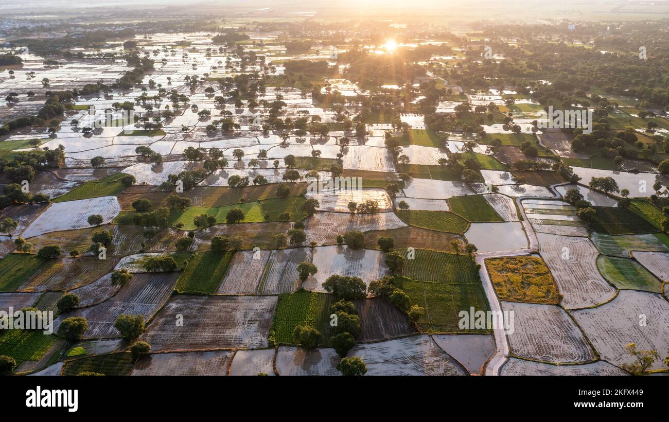 Ta Pa rice fields are beautiful in the morning, interspersed with ...