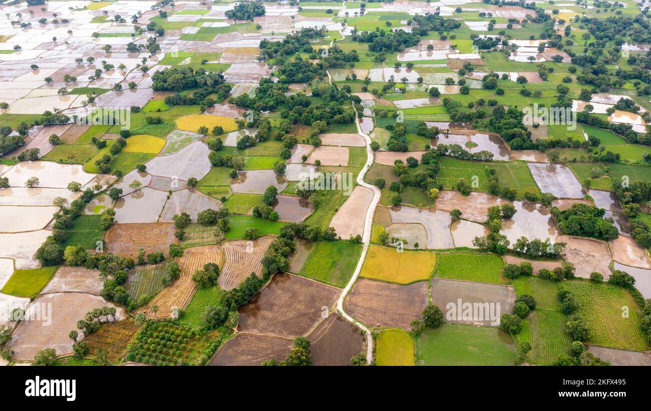 Ta Pa rice fields are beautiful in the morning, interspersed with ...