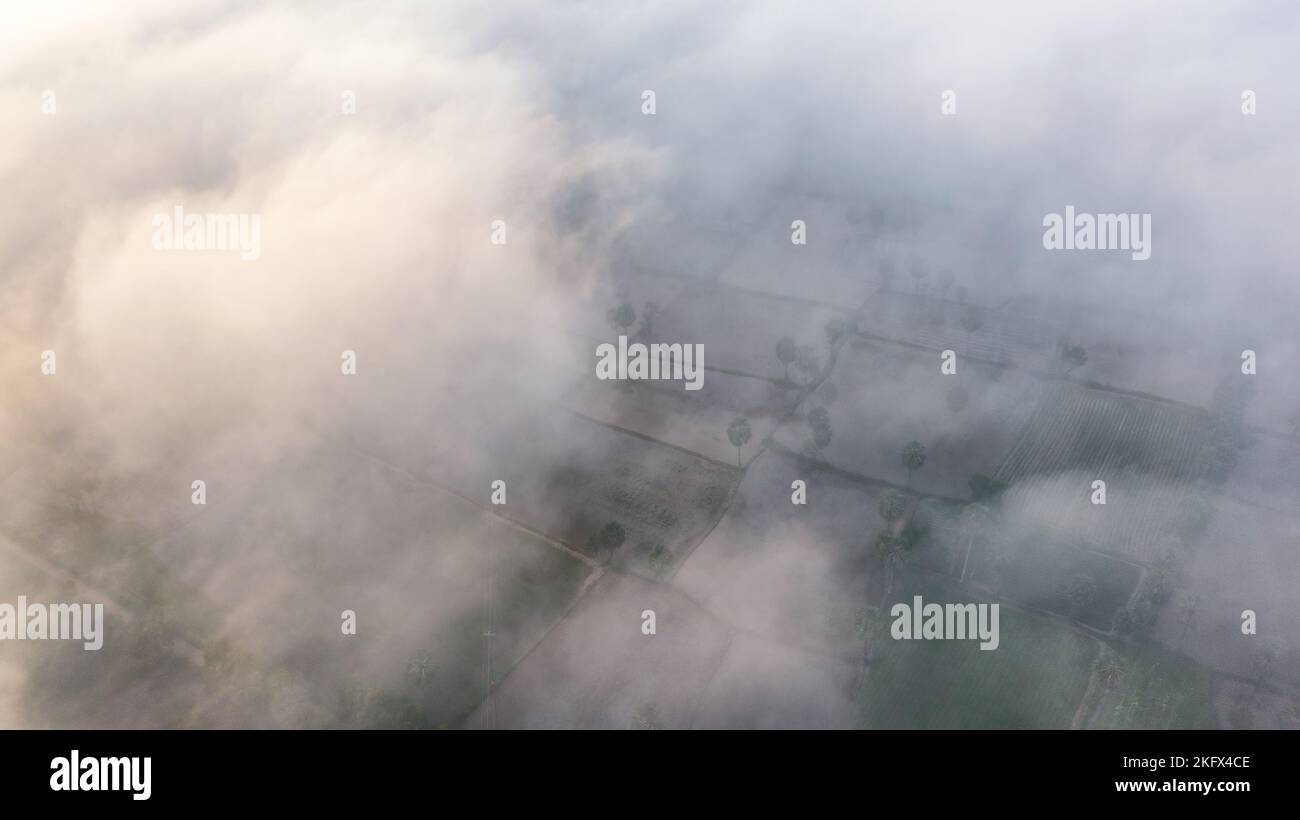 Beauty rice terrace with Sugar palms on sunset in Chau Doc, An Giang ...