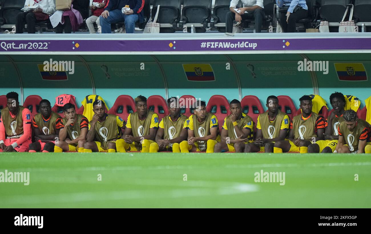 Ecuador players during the Qatar 2022 World Cup match, group A, date 1 ...