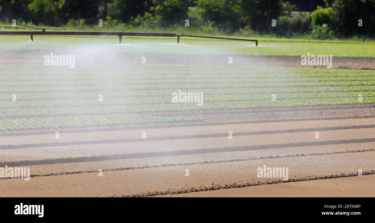 Nebulized water hi-res stock photography and images - Alamy