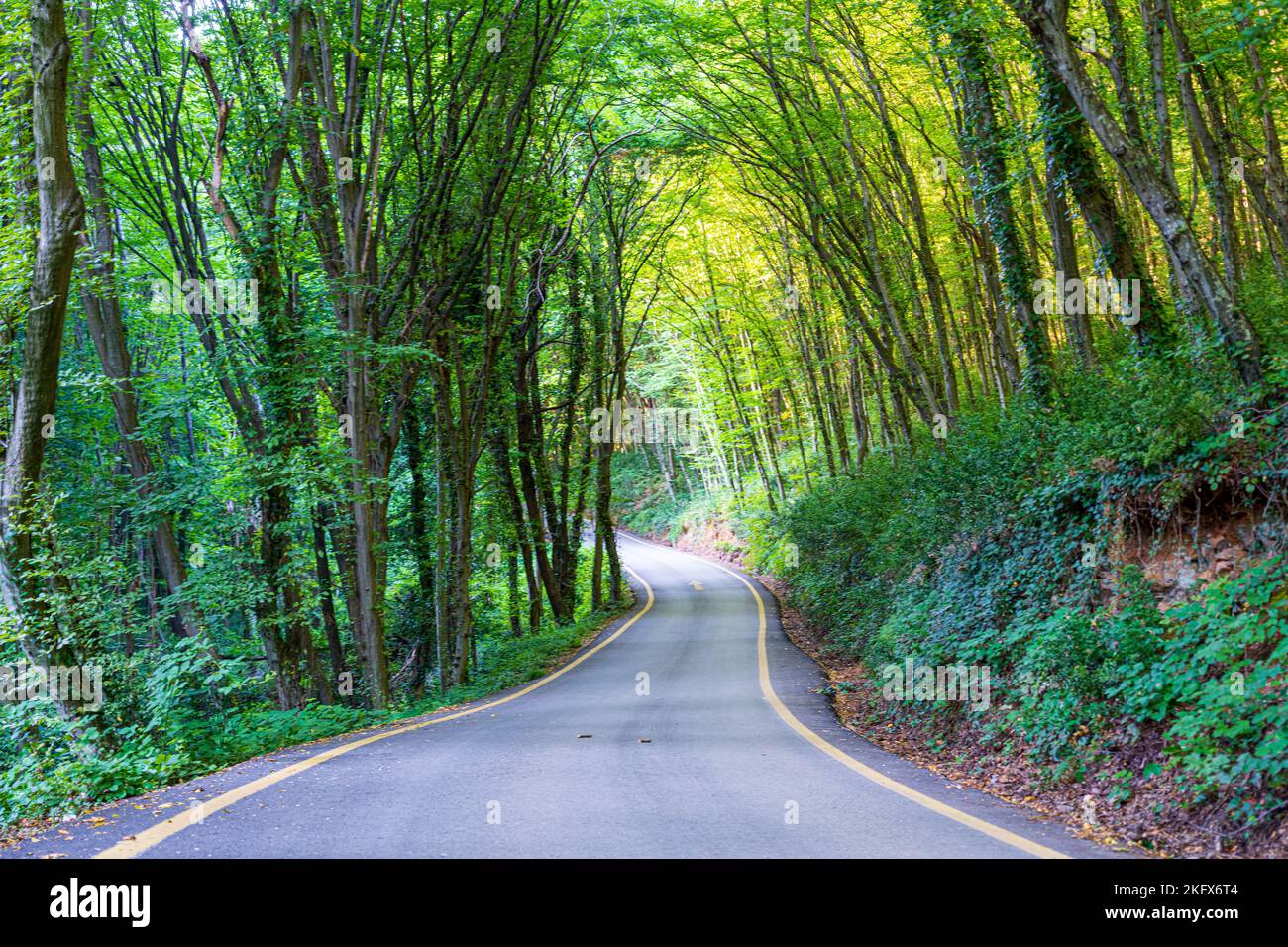 Ataturk forest hi-res stock photography and images - Alamy