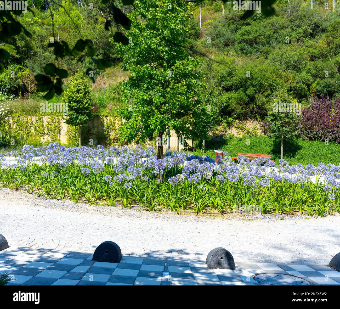A beautiful shot of the lush nature in Ataturk Forest in Istanbul ...