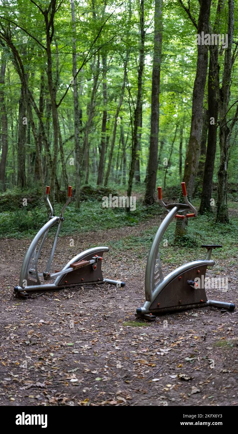 A vertical shot of workout equipment in a lush green forest Stock Photo ...