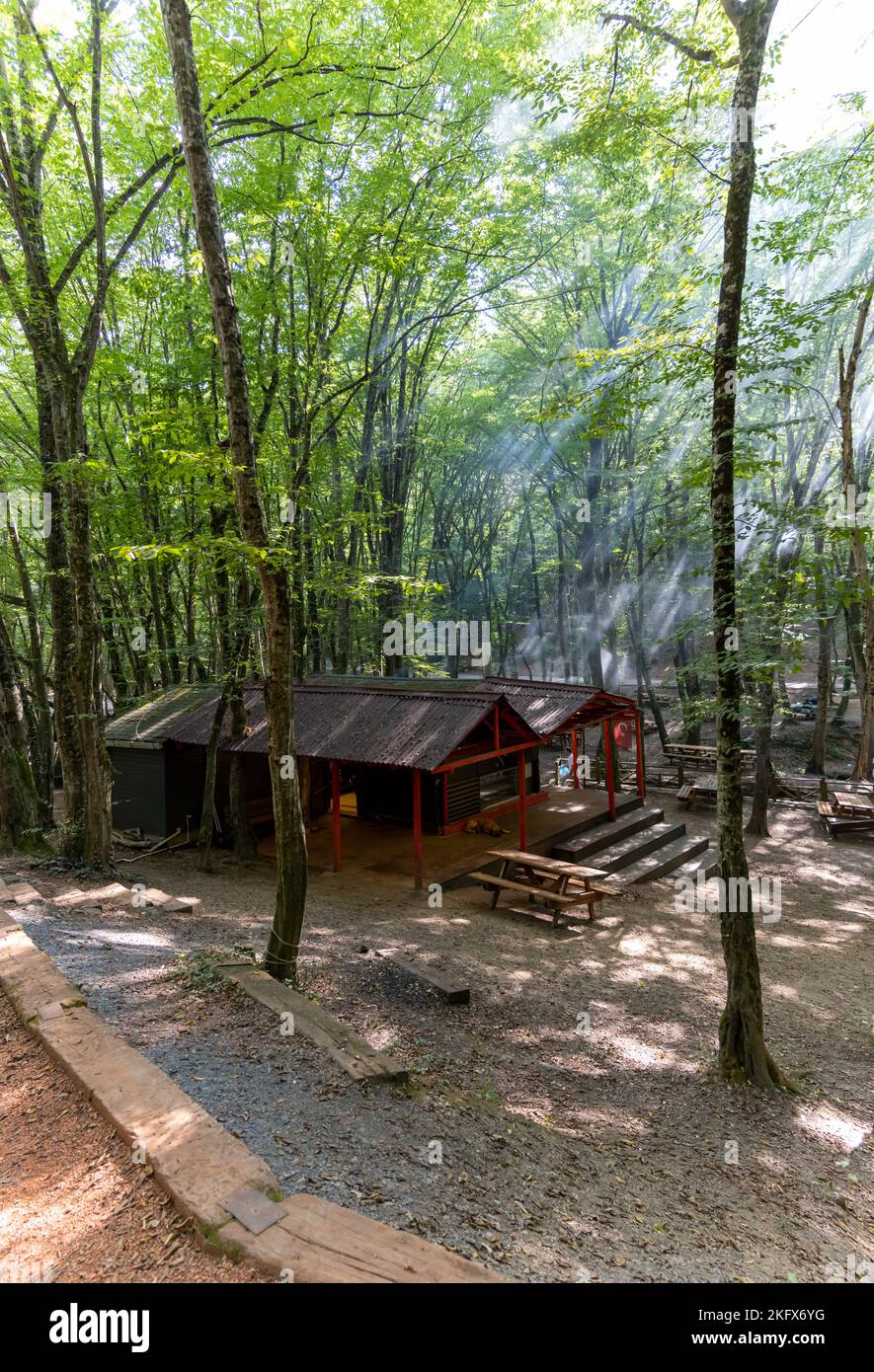 Belgrad forest istanbul turkey hi-res stock photography and images - Alamy