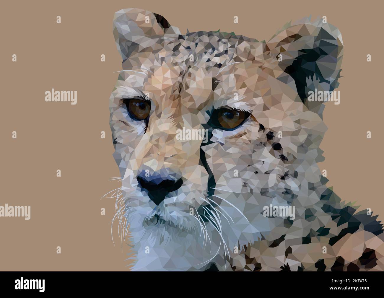 Cheetah Geometrical low poly vector art Stock Vector Image & Art - Alamy