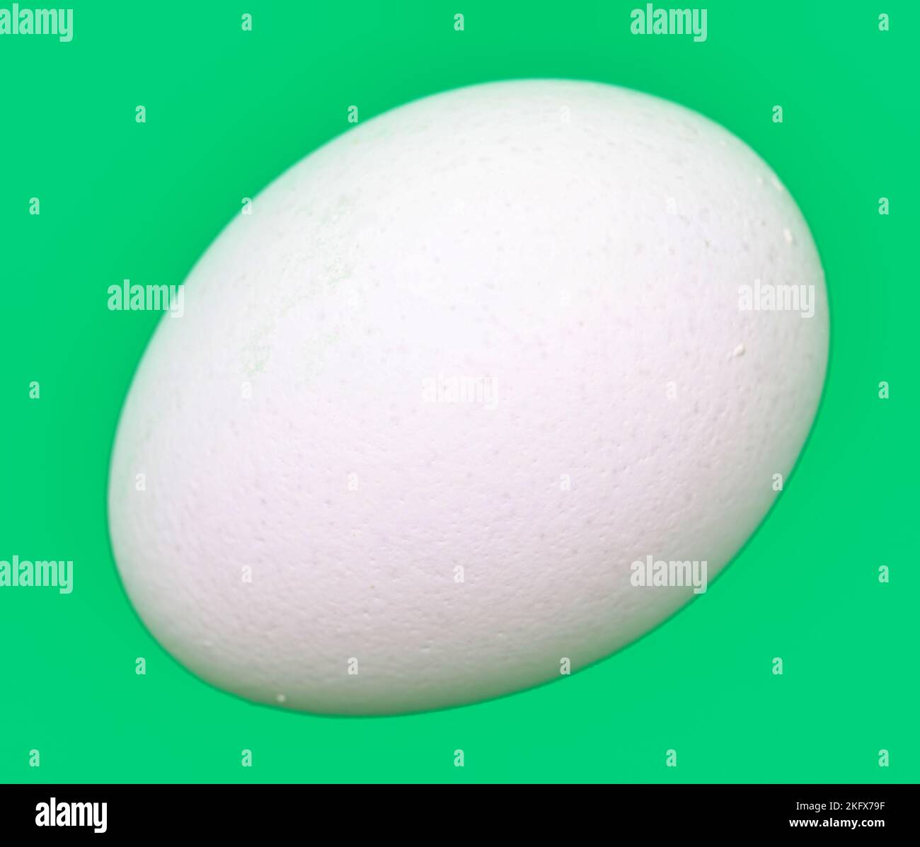 Isolated chicken egg Stock Photo - Alamy