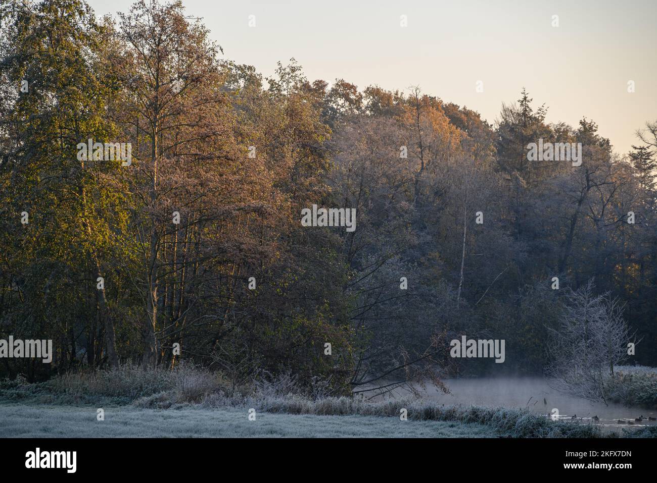 Autumn at a castle in westphalia Stock Photo - Alamy