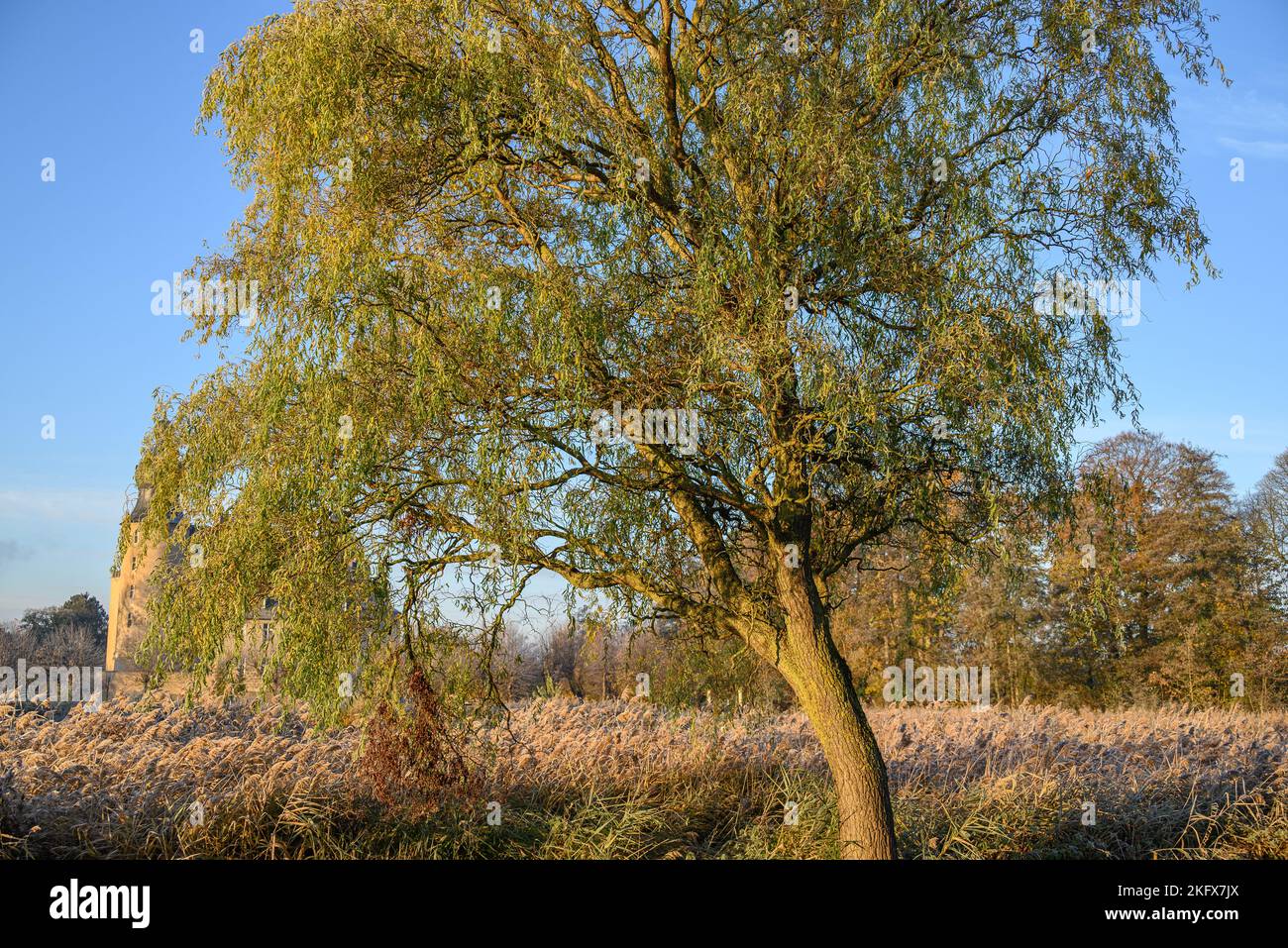 Autumn at a castle in westphalia Stock Photo - Alamy