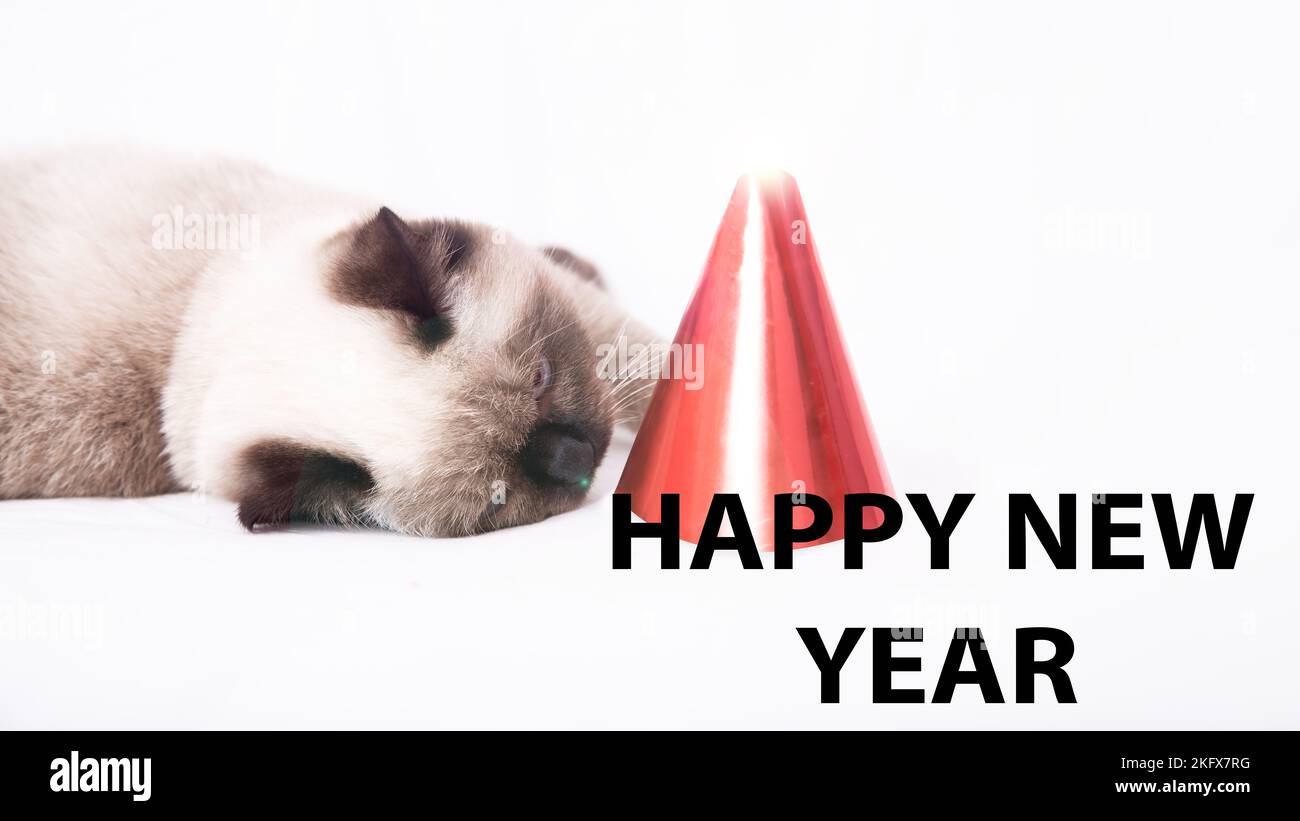 happy new year with cat Stock Photo - Alamy