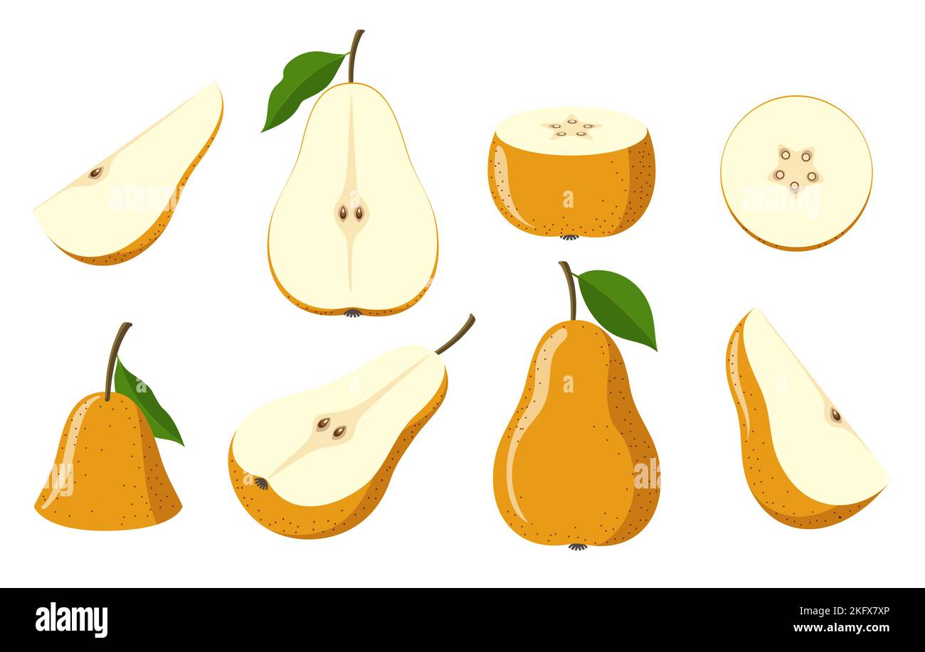 Sliced pear fruit Stock Vector Image & Art - Alamy