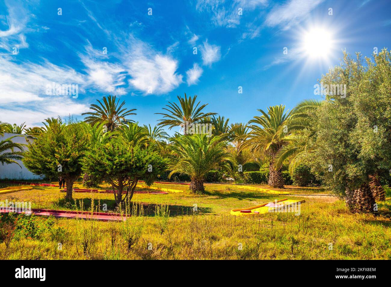 Date palms with a blue clear sky in Hammamet Tunisia Stock Photo - Alamy
