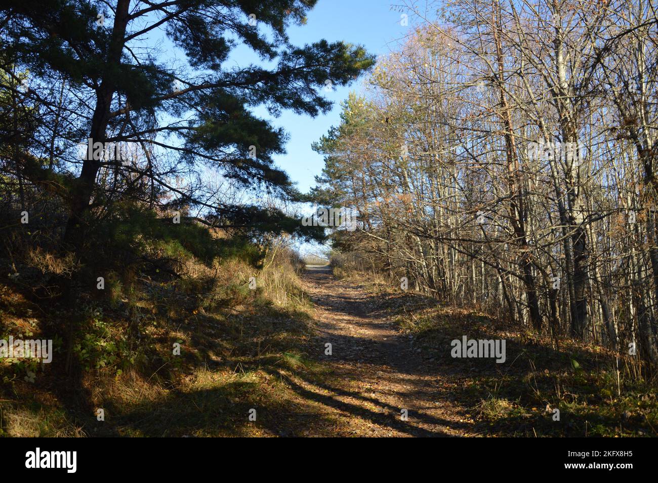 Solna, Sweden - November 12, 2022 - Frösundatoppen Hill (Haga kullen ...