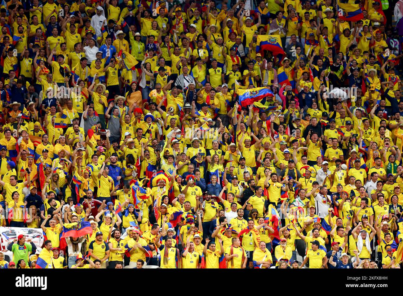 Al Chaur, Qatar. 20th Nov, 2022. Soccer, World Cup 2022 in Qatar, Qatar ...