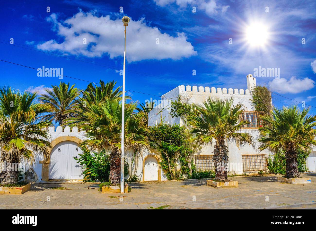Date palms with a blue clear sky in Hammamet Tunisia Stock Photo - Alamy