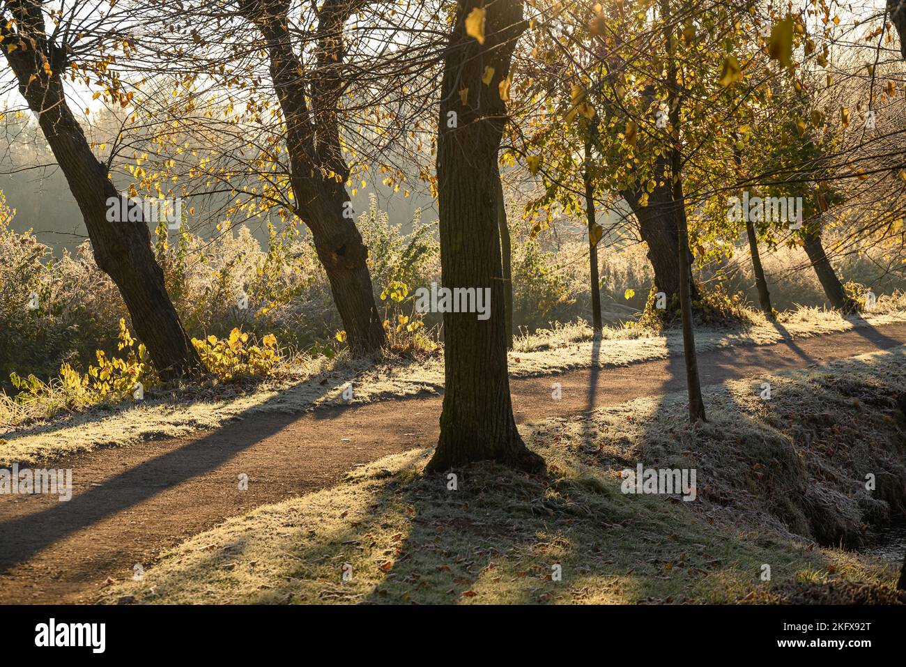 Autumn at a castle in westphalia Stock Photo - Alamy