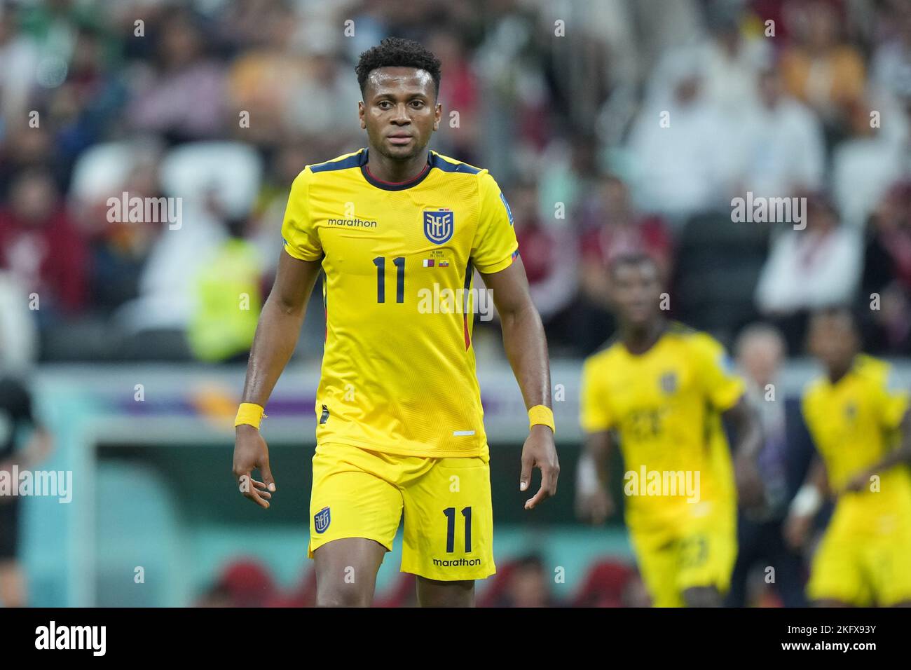 Michael Estrada of Ecuador during the, Qatar. , . in Al Khor, Qatar ...