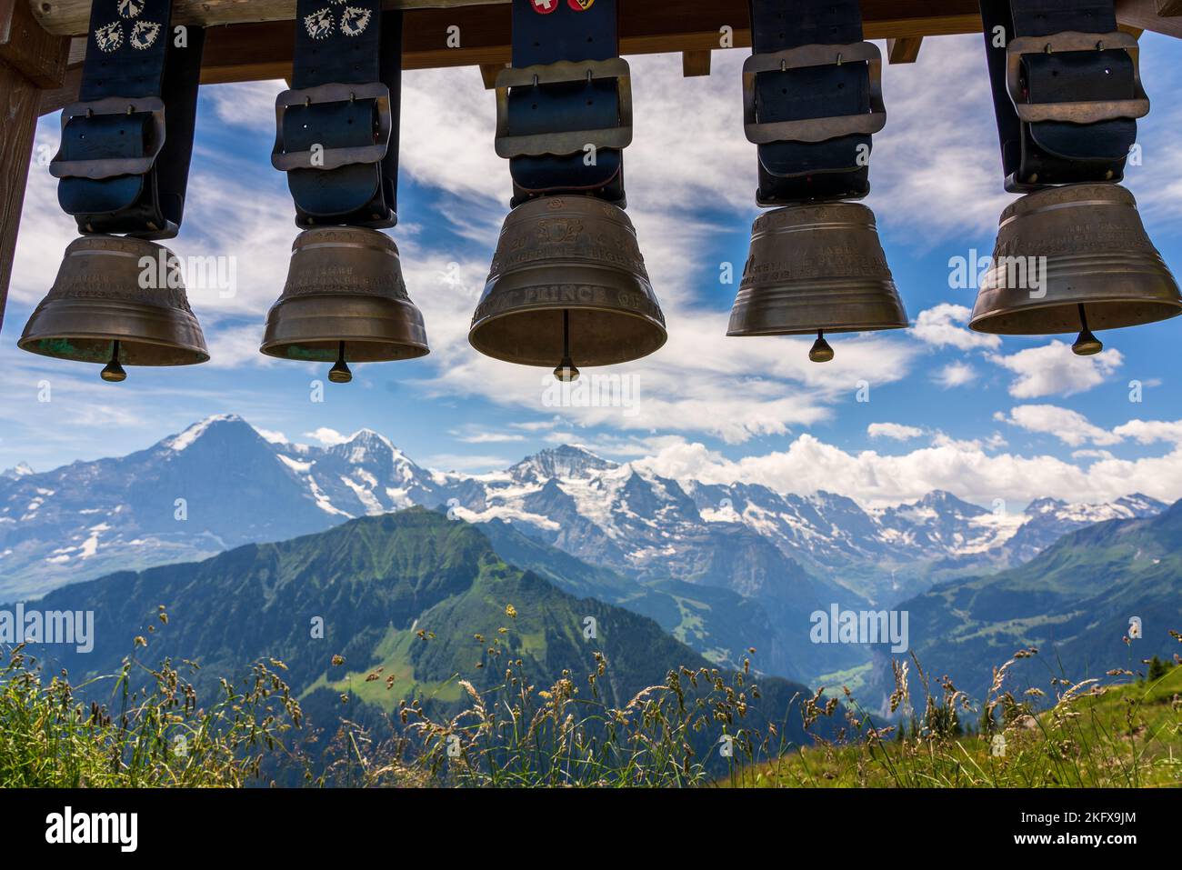 Cowbells in the Swiss Alps Stock Photo - Alamy